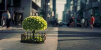 Social Impact Startups: A Growing Trend in US Business